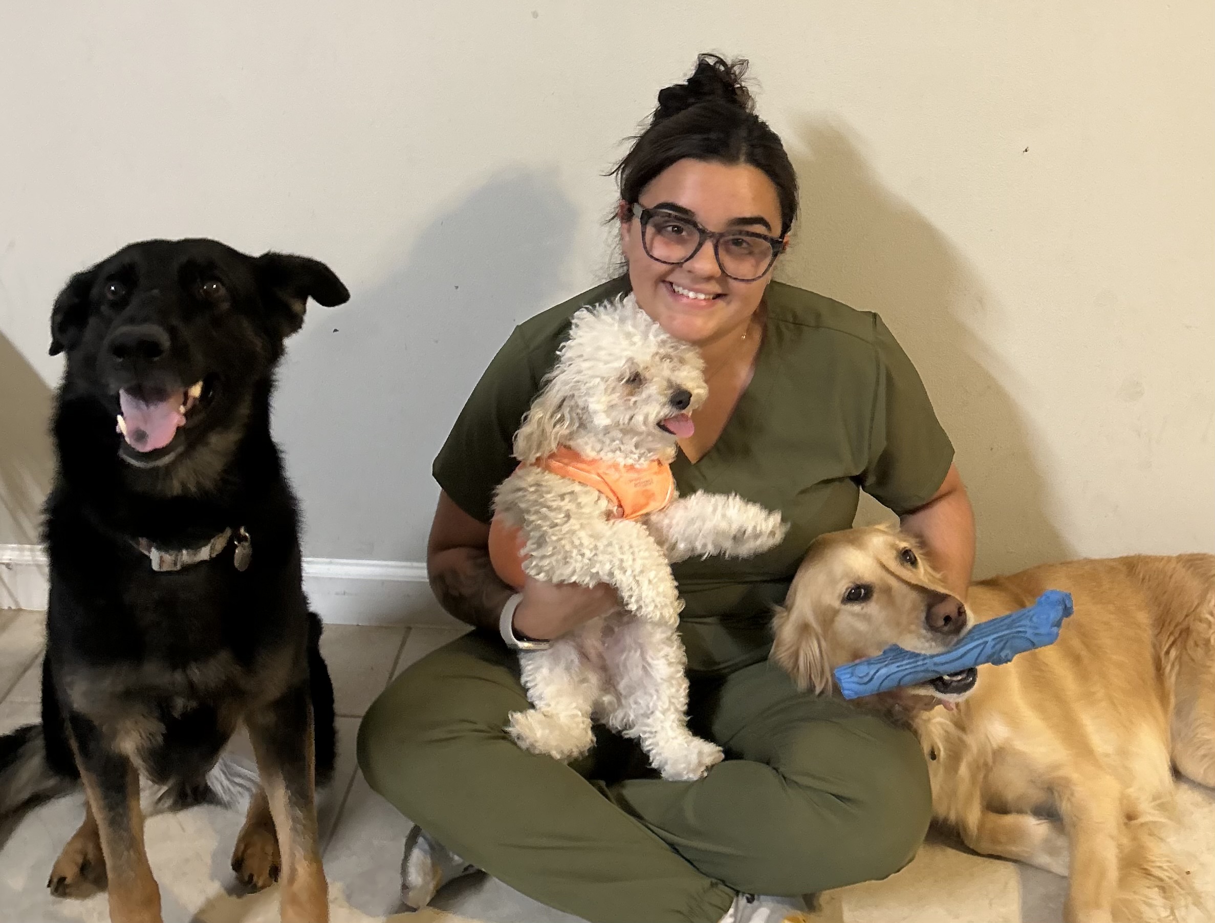 Pitbulls Daughter Destiny